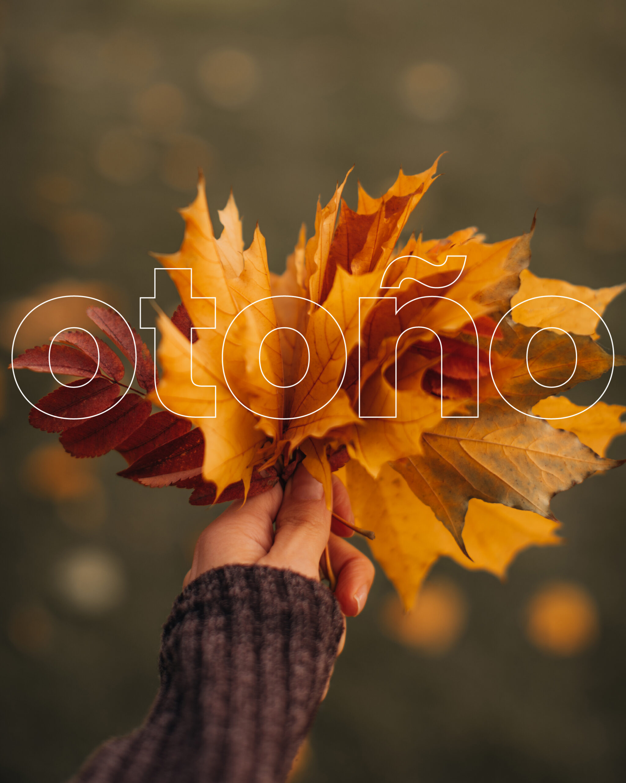 Biotenk – Excelencia al alcance de todos